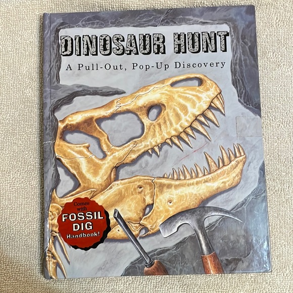 Books | Other | 28 Dinosaur Hunt A Pullout Popup Discovery | Poshmark